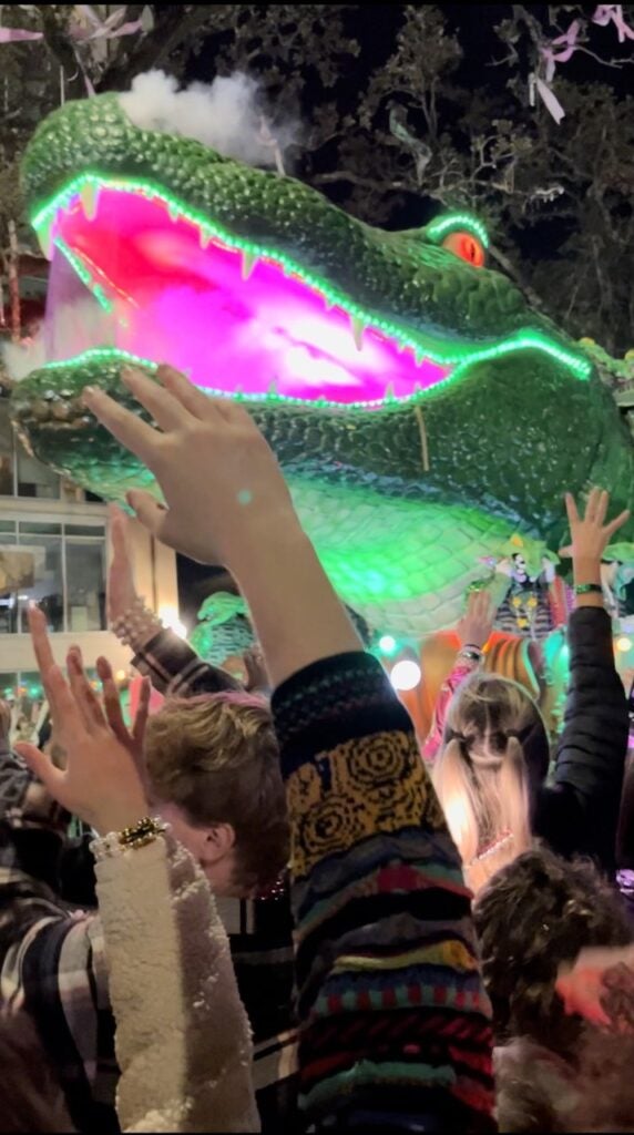 The Outdoor Adventures Mardi Gras Survival Guide – Cabin Fever